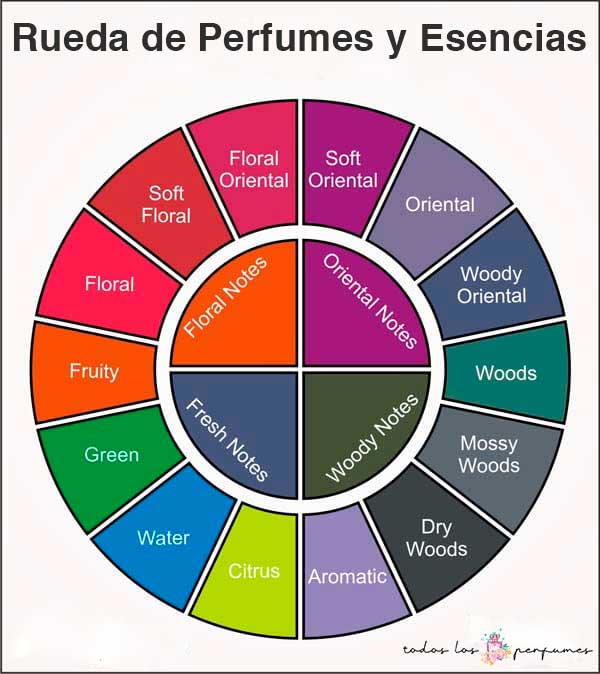 Guía Definitiva de los Perfumes de Hombre 🥇 Aprende a Seducir