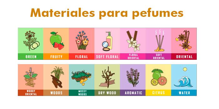 🌸La Mejor Guía de los Perfumes de Mujer con recomendaciones⭐